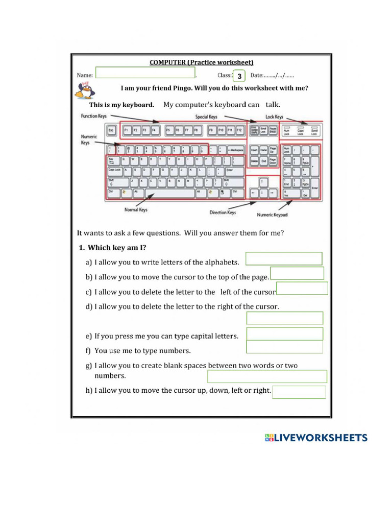 Document | PDF
