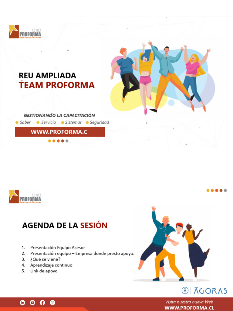 Reunión Ampliada OTIC PROFORMA | PDF | Negocios