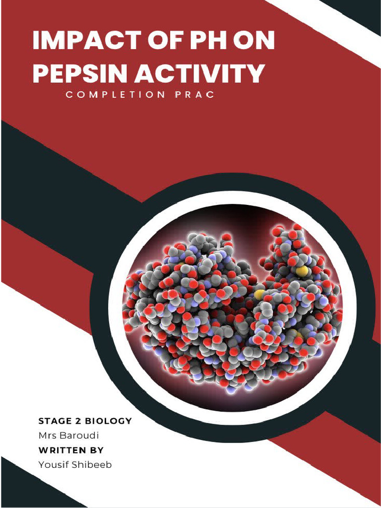 Pepsin Completion Prac Ayan Feedback | PDF | Enzyme | Active Site