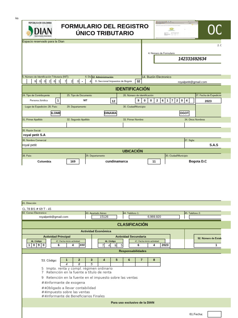 Formulario Del Registro Único Tributario: Identificación | PDF | Bogotá