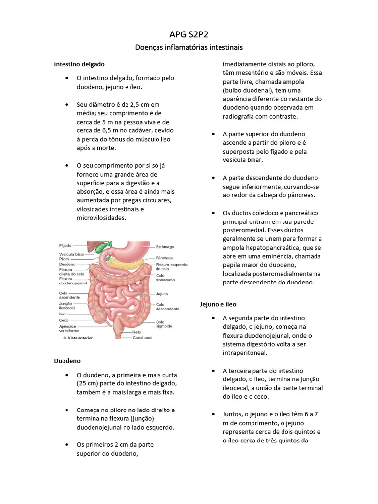 Doenças Inflamatórias Intestinais - APG - SOI IV | PDF | Intestino ...