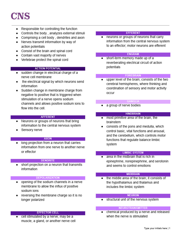 CNS ( Pharmacology ).docx | PDF | Neuron | Nerve