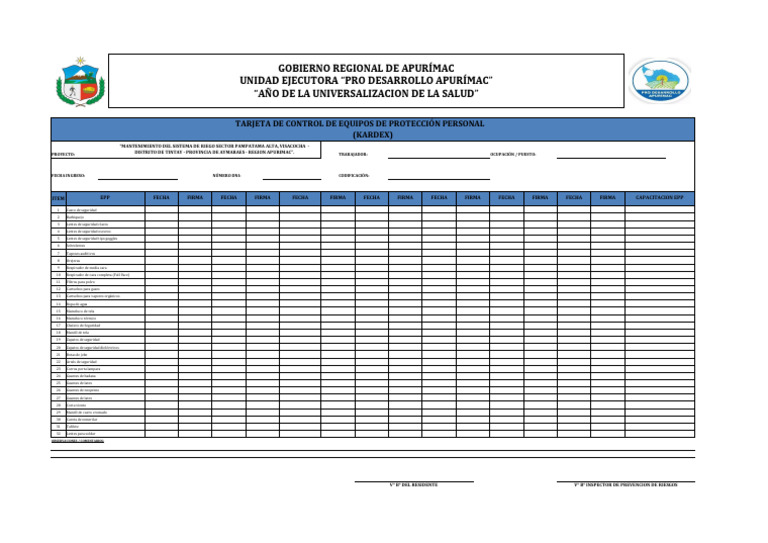 FORMATO CONTROL DE EPPS | PDF