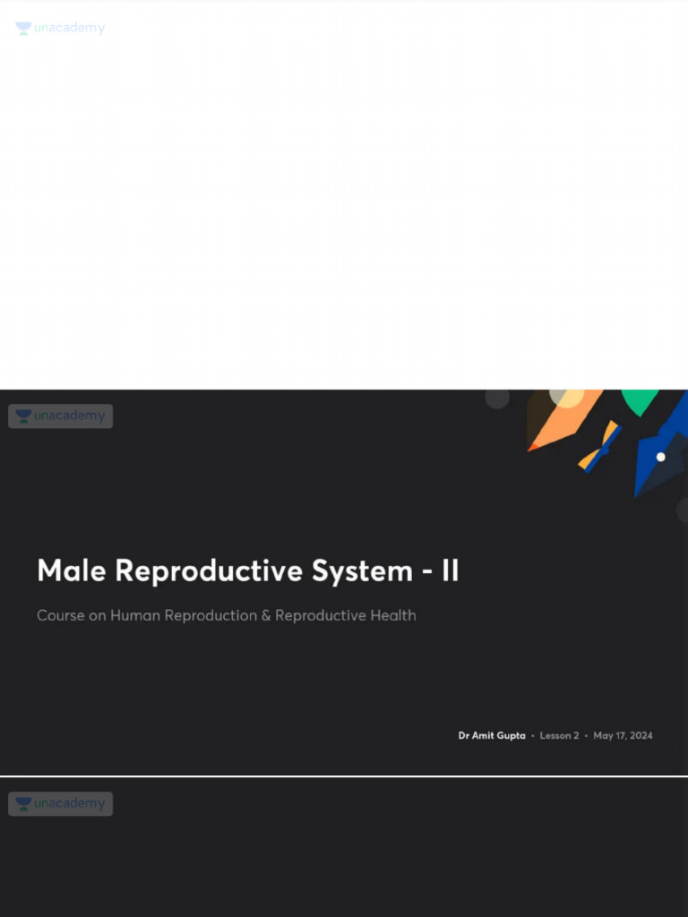 Male Reproductive System Ii With Anno Pdf