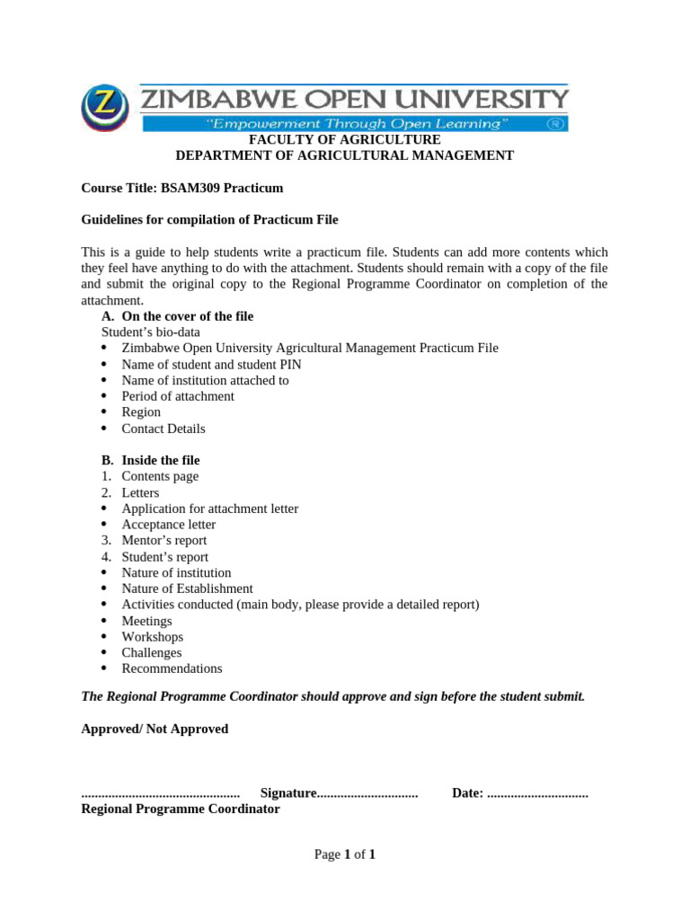 Guidelines For Practicum File | PDF