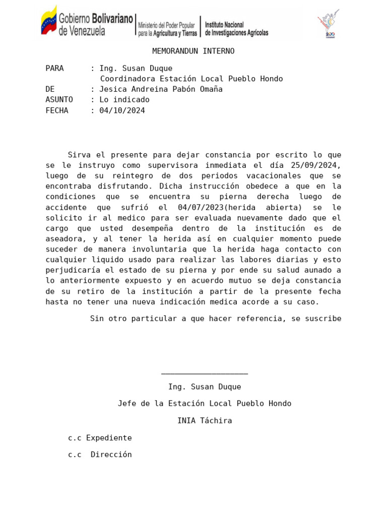 Memorandum Andreina 084410 | PDF