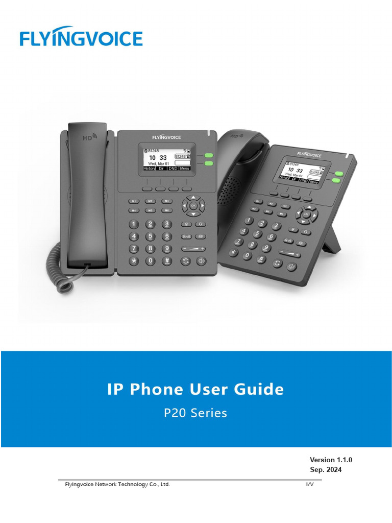 Flyingvoice - P20 Series - User Guide - V1.1 - 20240927 | PDF | Ip Address | Computer Network