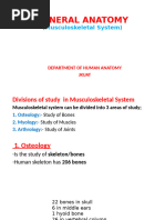 The Skeletal System - Skeleton - Living Organisms - KS3 Biology - BBC ...