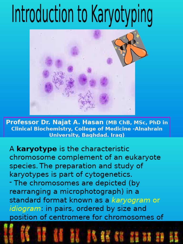 Understanding Human Karyotypes and Abnormalities | PDF | Karyotype ...