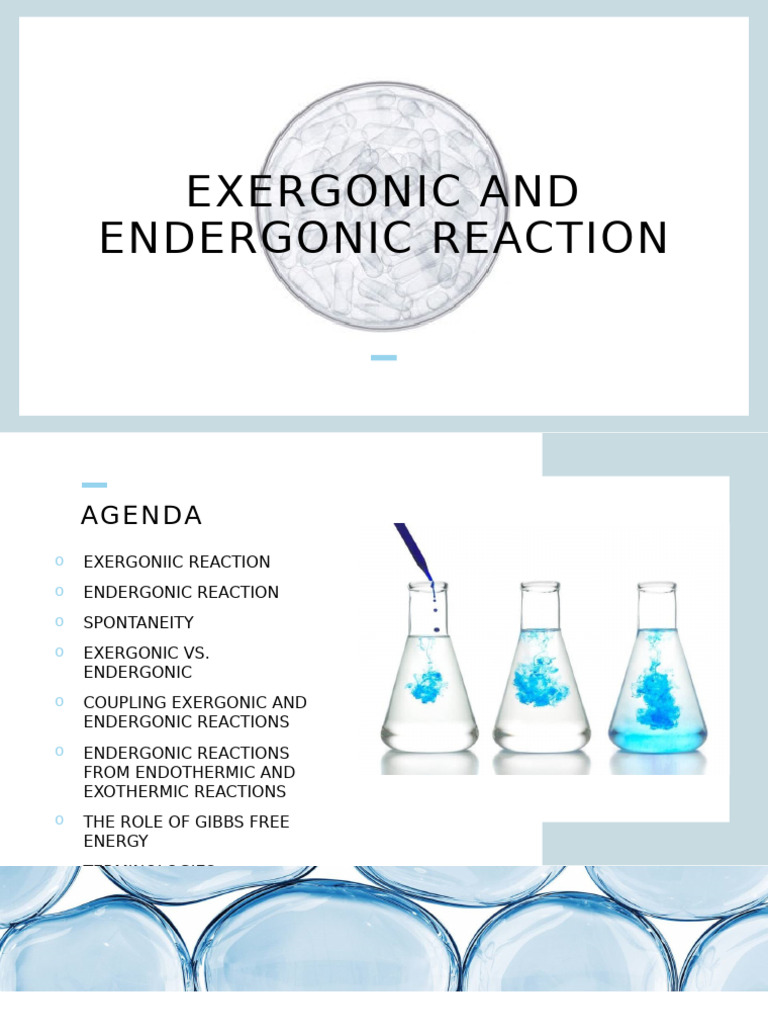 Exergonic and Endergonic Reaction | PDF | Chemical Reactions | Product ...
