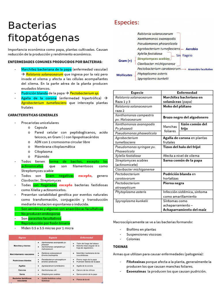 RESUMEN Bacterias, Virus, Plantas Parasitas y Mecanismo de Ataque | PDF ...