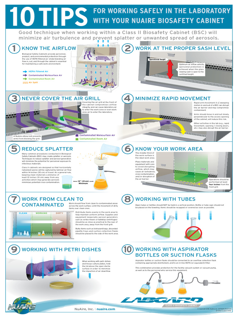 10 Tips For Working Safely in The Lab With Biosafety Cabinet | PDF