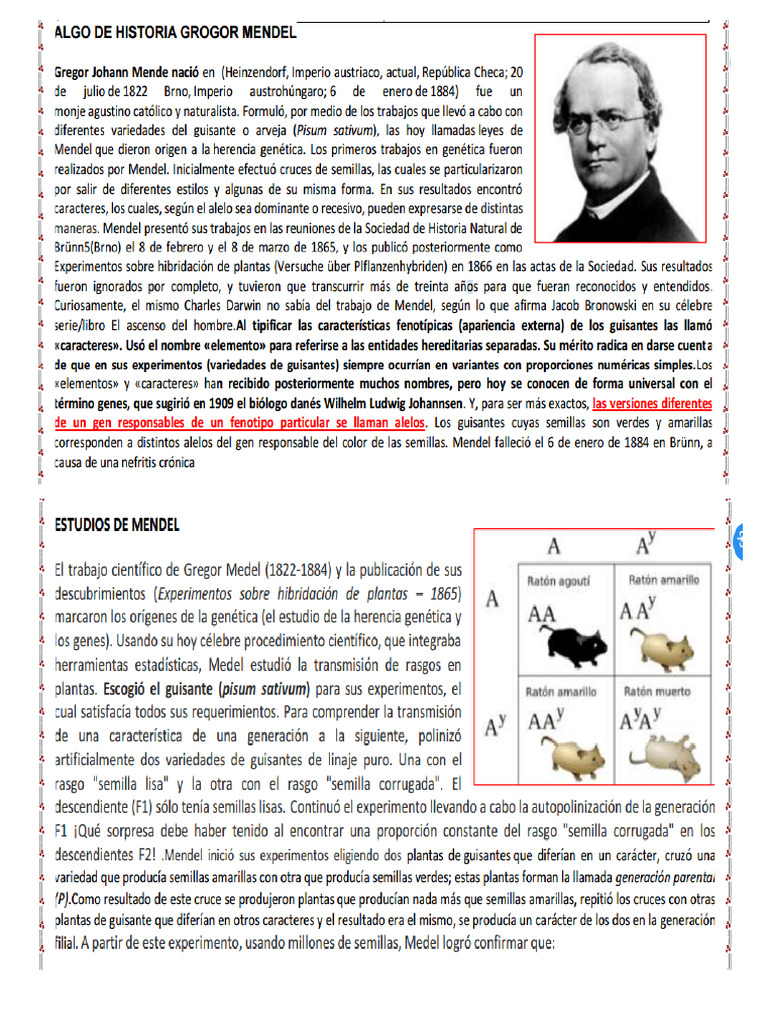 Mendel PDF | PDF