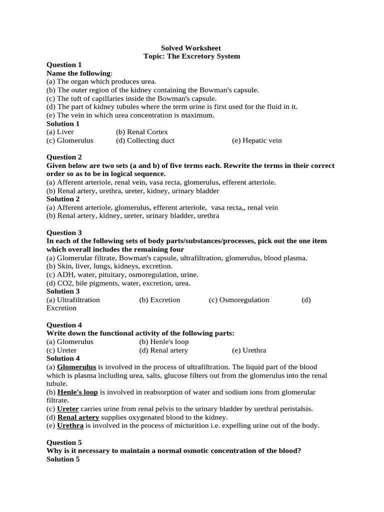 Solved Worksheet 1, THe Excretory System | PDF | Kidney | Urinary System