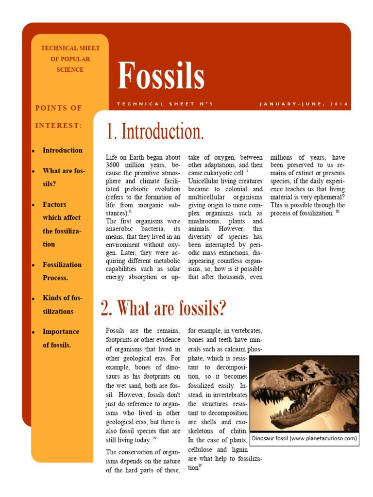 fossils research | PDF | Sedimentary Rock | Fossil