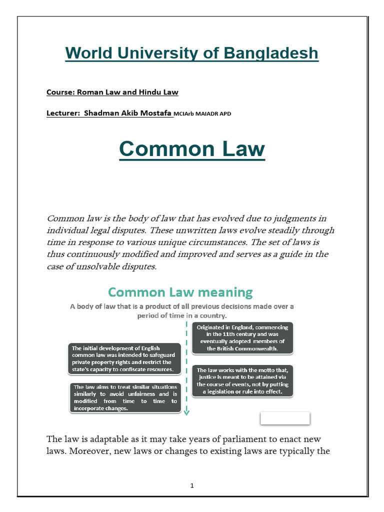 Understanding Common Law Principles | PDF | Common Law | Civil Law ...