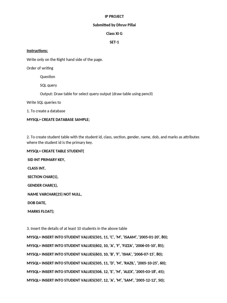 Dhruv Pillai IP Project# | PDF | Information Technology Management | Data