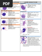 Cours de Physiologie Sanguine | PDF | Globule rouge | Sang