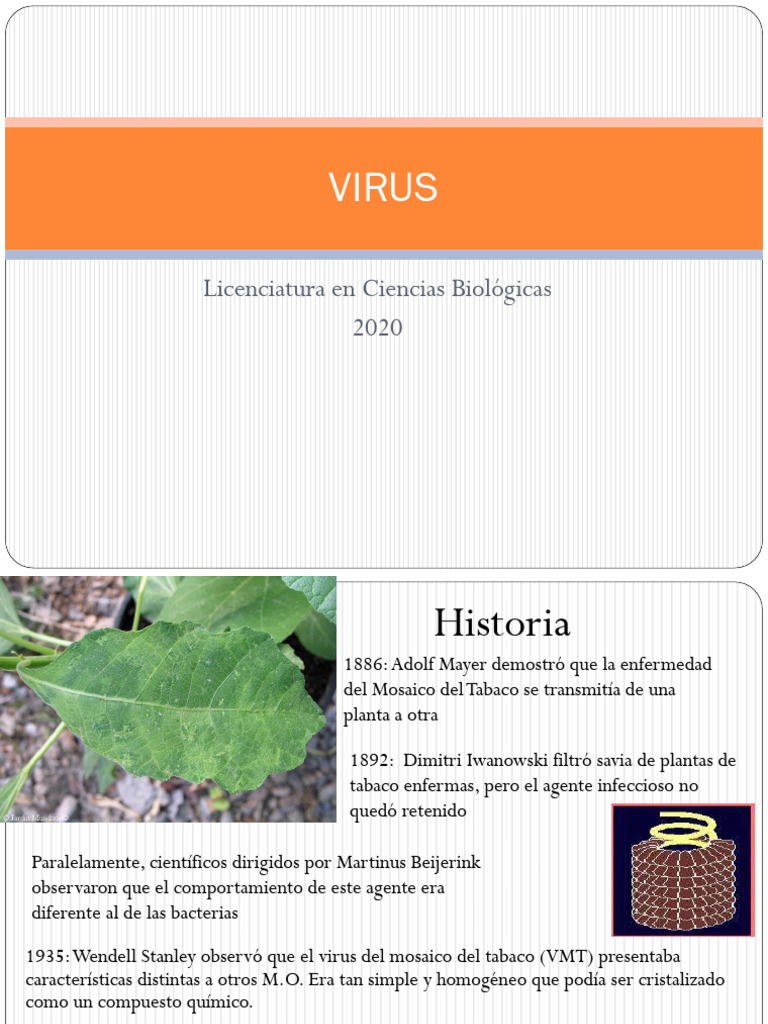 Introducción a los Virus y su Biología | PDF | Virus | Bacteriófago