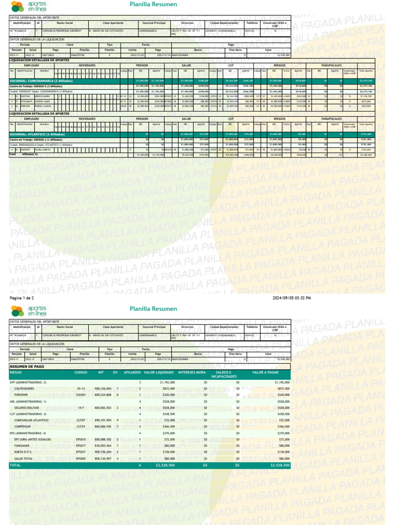 Mafars 191 | PDF | Servicios financieros | Pensión