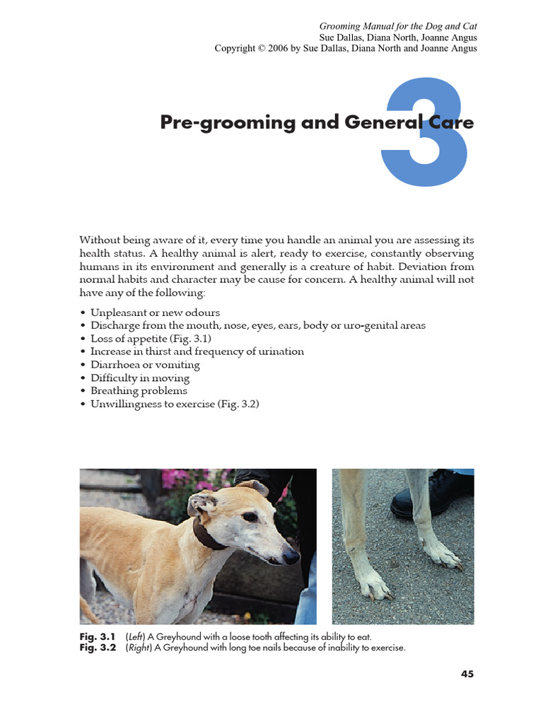 Grooming Manual For The Dog and Cat - Pre-Grooming and General Care ...
