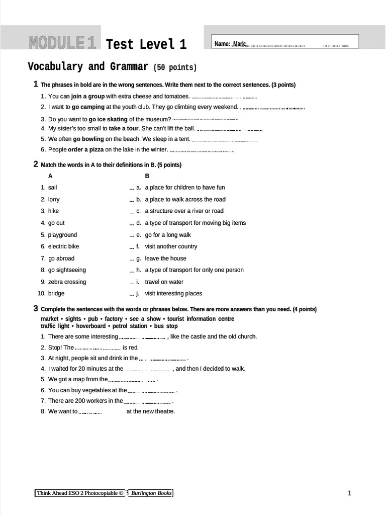 Vocabulary and Grammar Test Level 1 | PDF