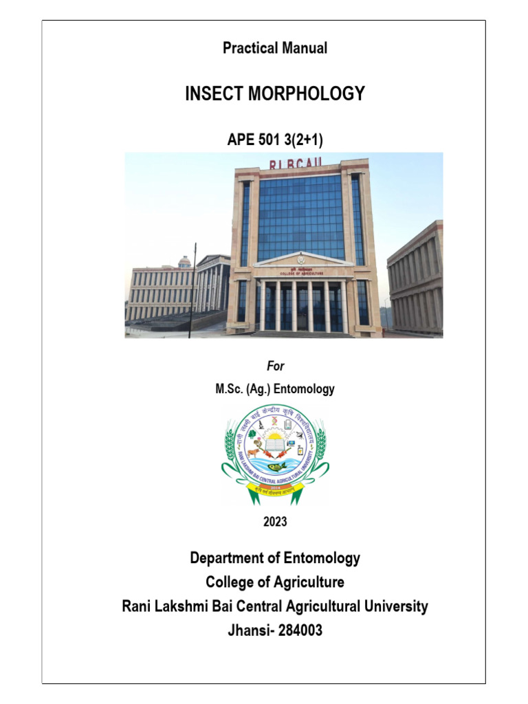 Insect Morphology APE 501 | PDF | Pupa | Insects