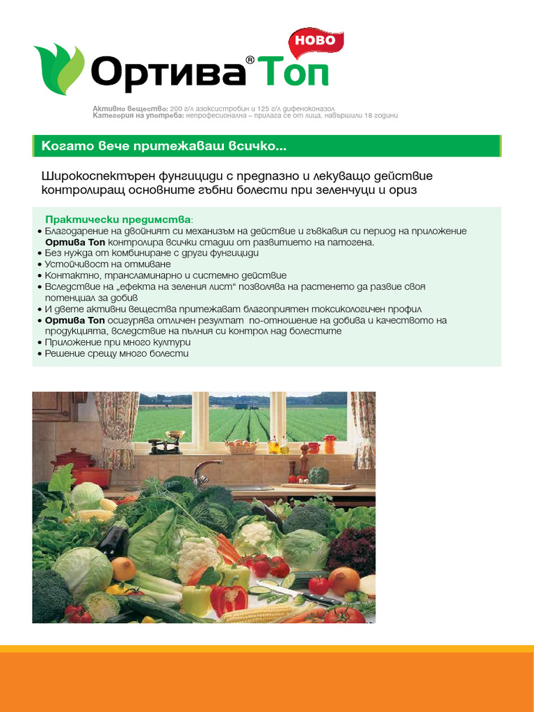 Ortiva | PDF
