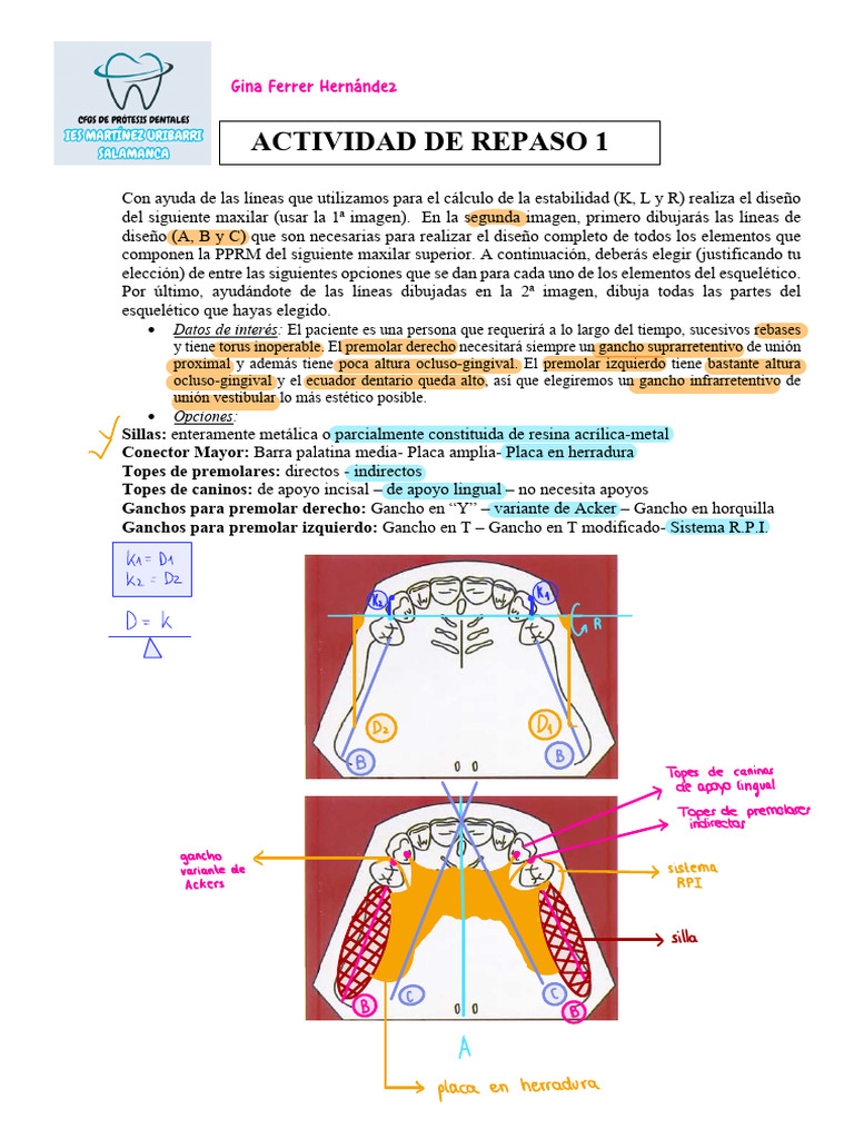 ACTIVIDAD DE REPASO 1 Completo | PDF | Anatomia dental | Diente