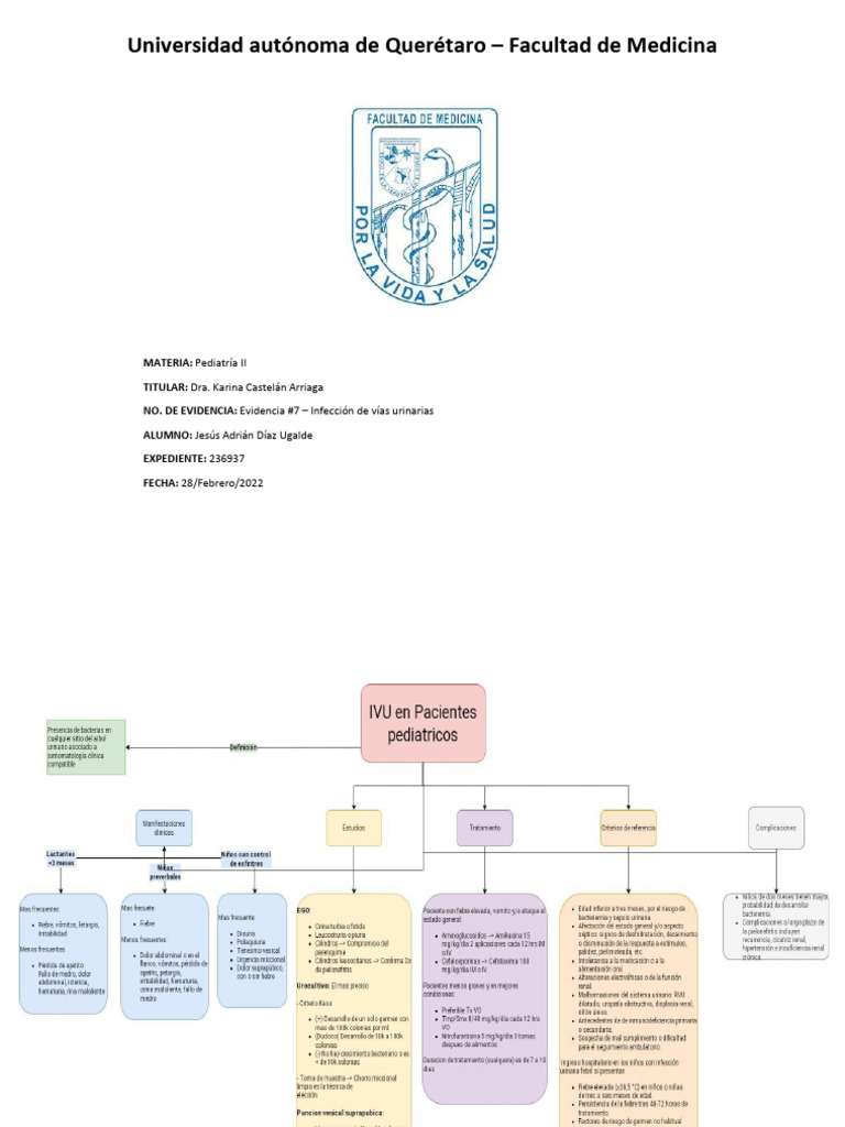 Evidencia 7 - Infección de vías urinarias - Jesús Adrián Díaz Ugalde | PDF