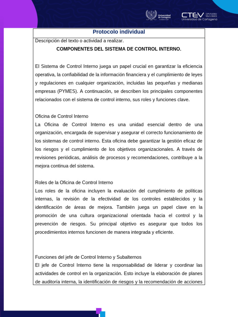 Protocolo Individual | PDF | Auditoría | Business