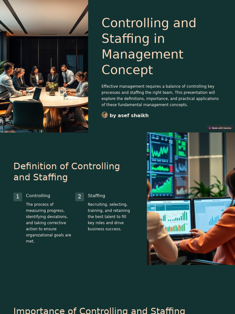 Controlling and Staffing in Management Concept | PDF | Business ...