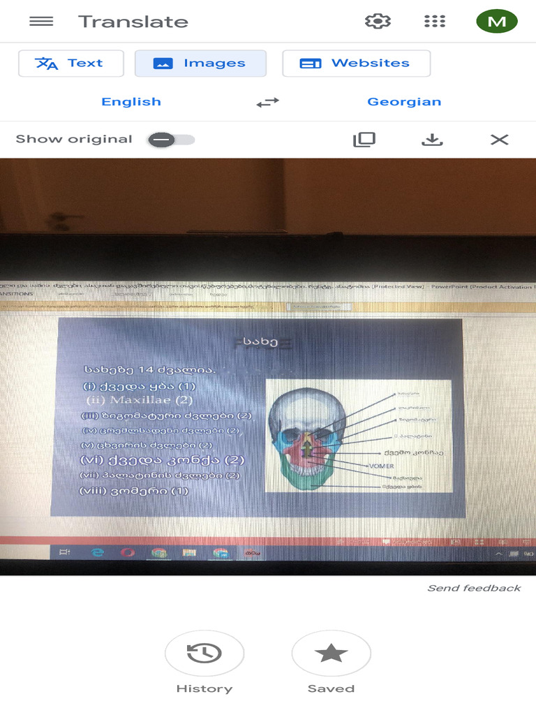 Google Translate | PDF