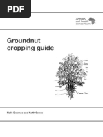 Zambia Groundnut Guide | PDF | Peanuts | Agriculture
