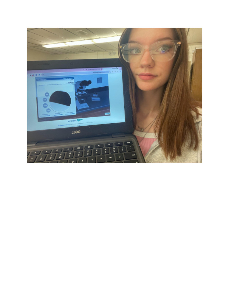 Unit 2 Lab 1 Pdf