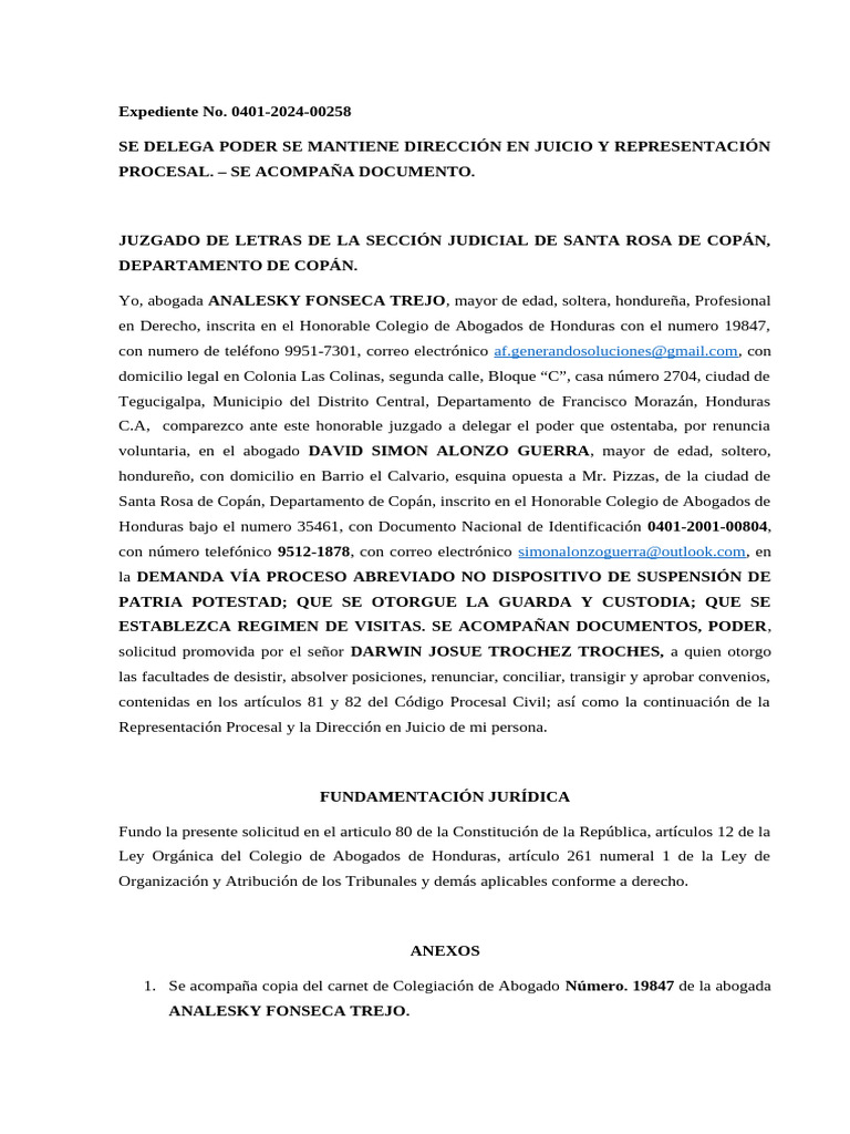 Delegación de Poder | PDF | Honduras | Abogado