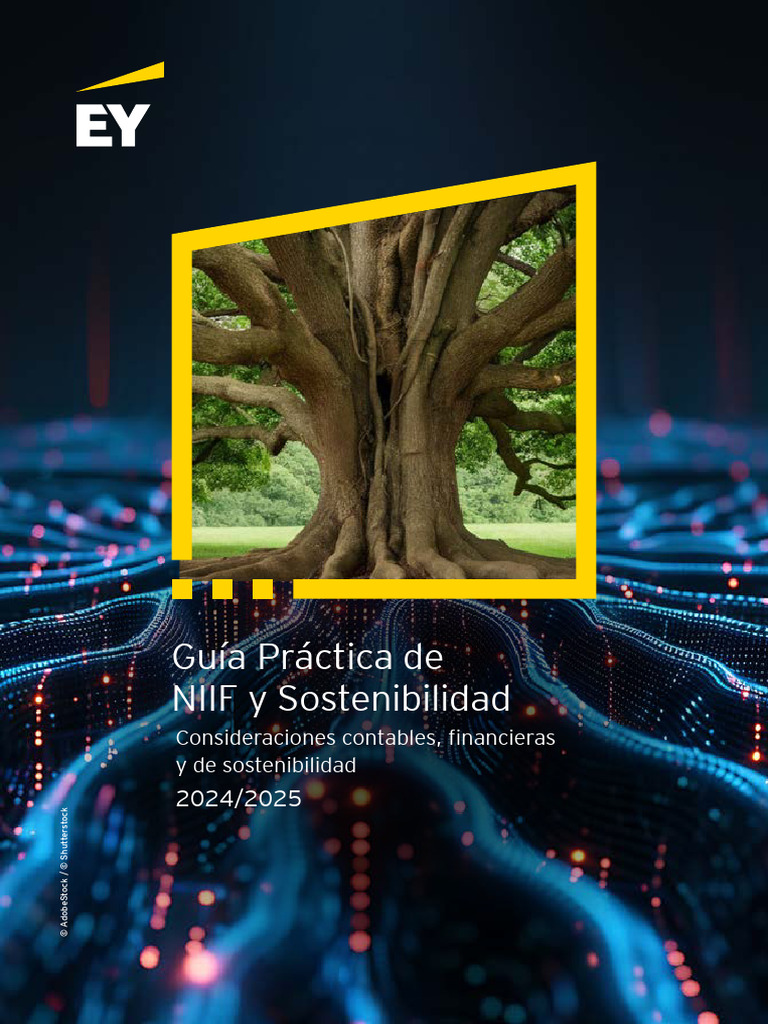 Gu A PR Ctica de NIIF y Sostenibilidad 2024 2025 1728965988 | PDF | normas internacionales de ...