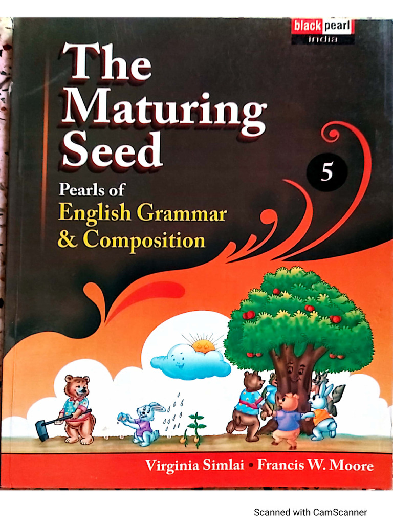 Class 5 English Grammar | PDF