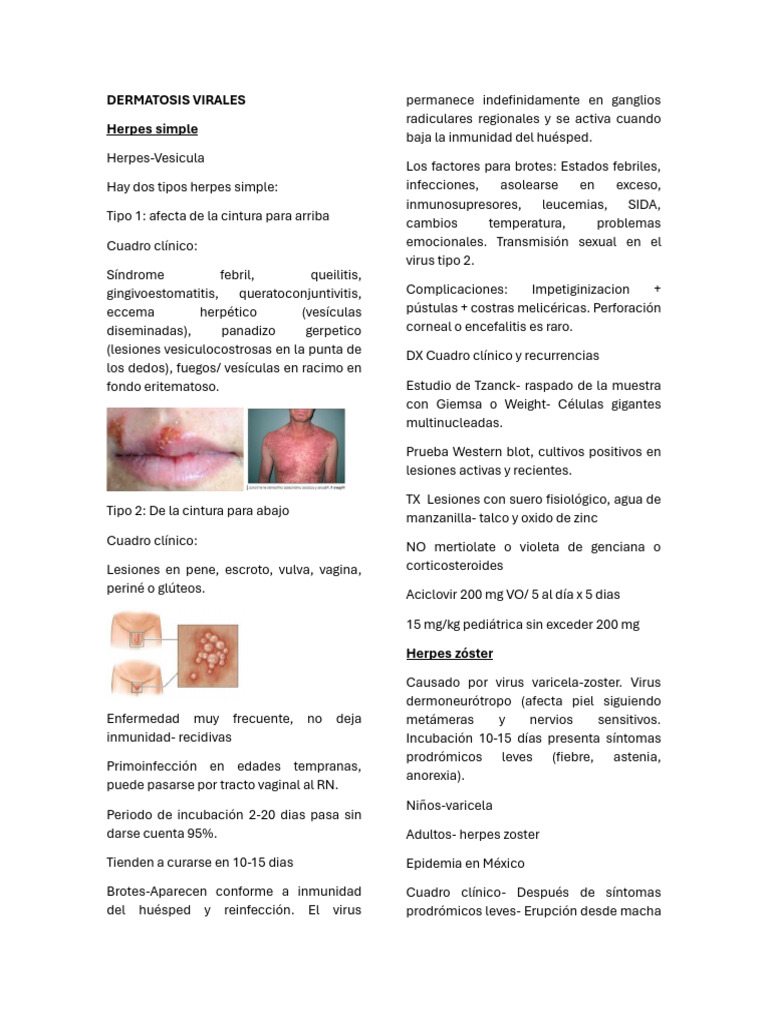 Dermatosis Virales: Herpes y Verrugas | PDF | Inmunología ...