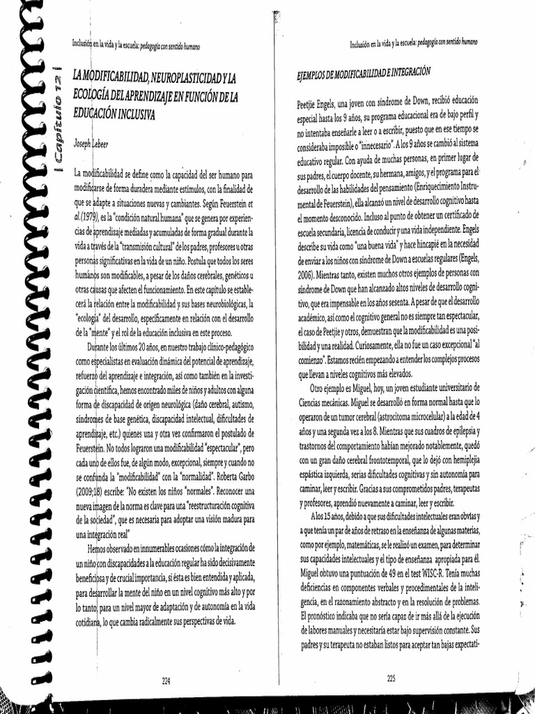 La Modificabilidad, Neuroplasticidad y La Ecologã - A Del Aprendizaje ...