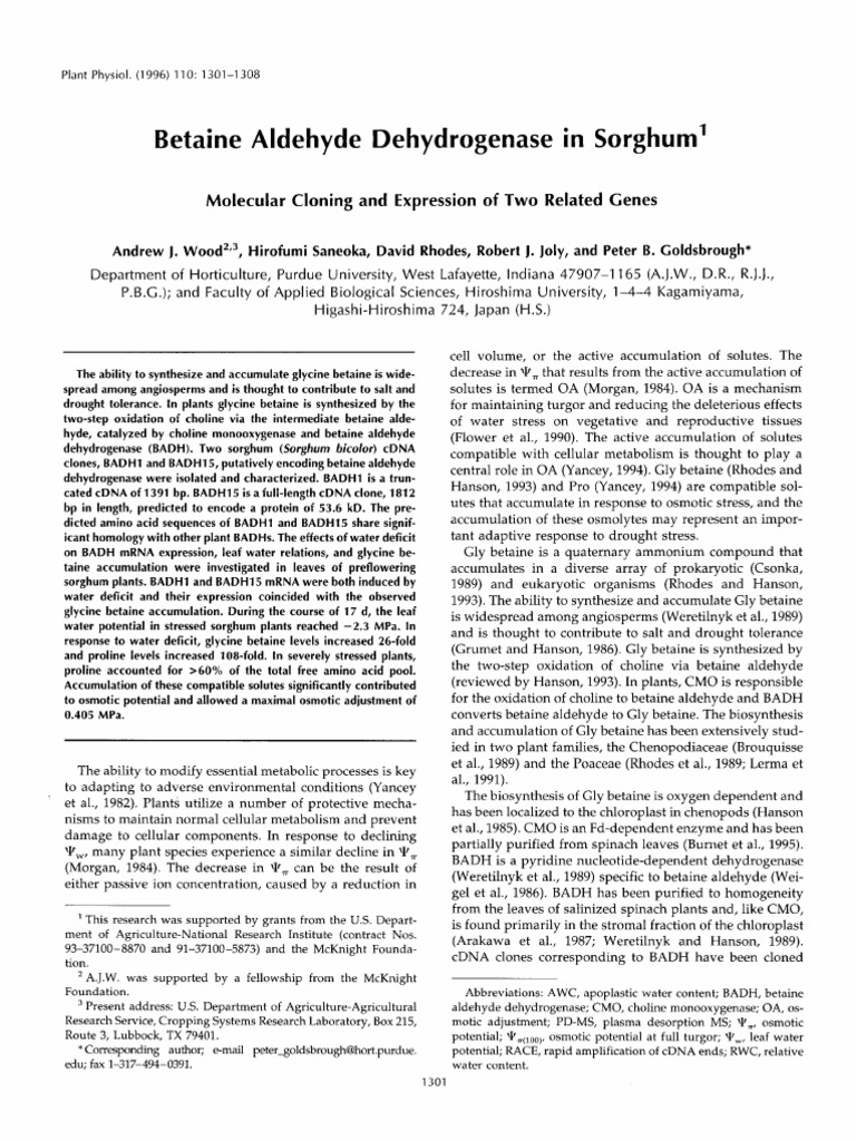 1996 Plant Physiol 110 Wood | PDF | Complementary Dna | Dna Sequencing