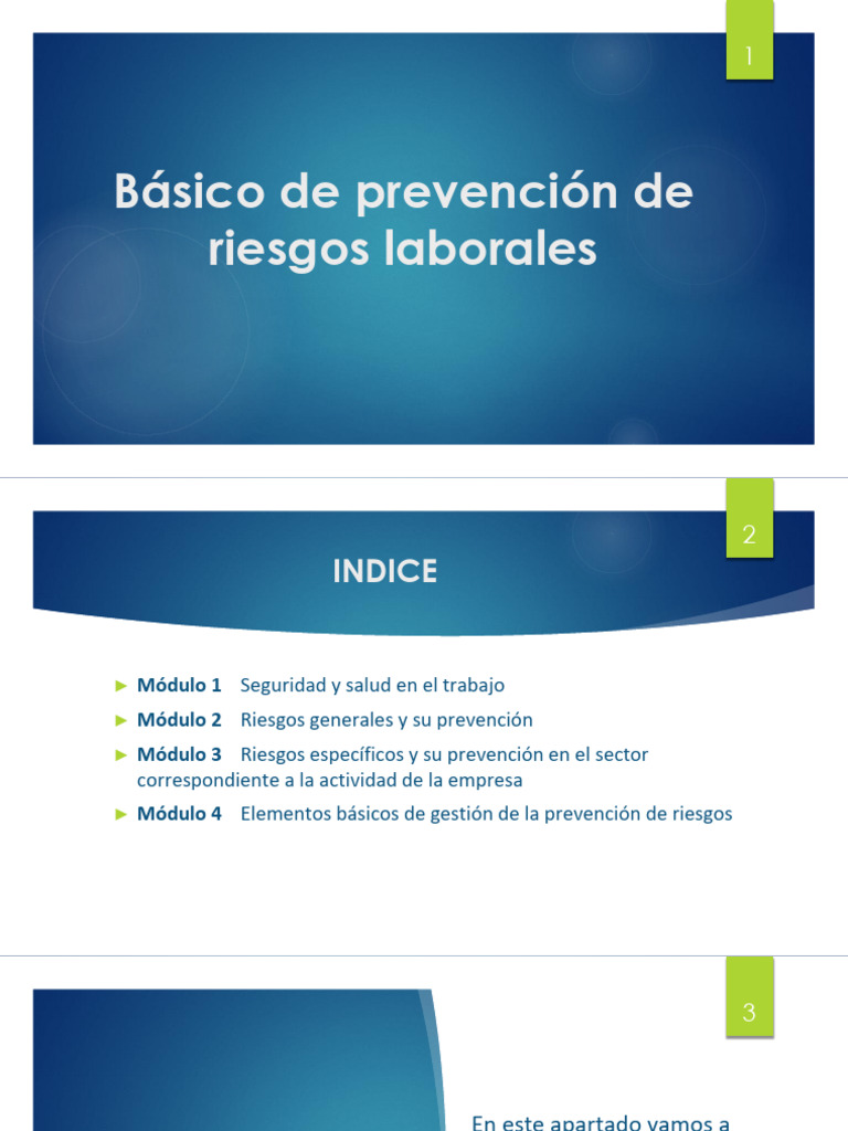 PRL Basico Modulo 1 2024 | PDF | Seguridad y salud ocupacional | Valores