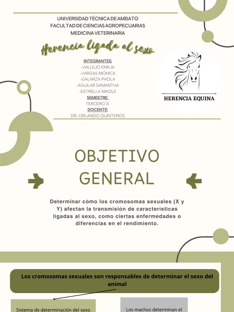 Genetica - Equina | PDF | Alelo | Dominancia (Genética)