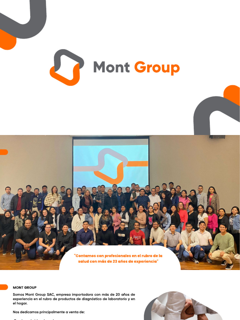 Carta de Presentacion Mont Group | PDF