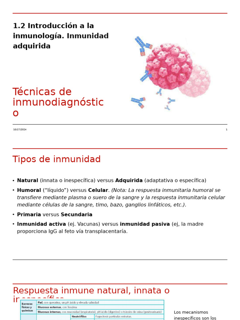 Tema 1.2 Inmunidad Adaptativa | PDF | Sistema inmune | Linfocitos