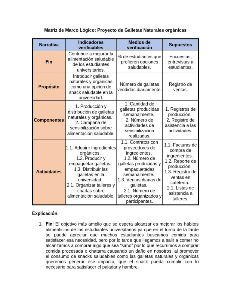 Matriz de Marco Lógico | PDF