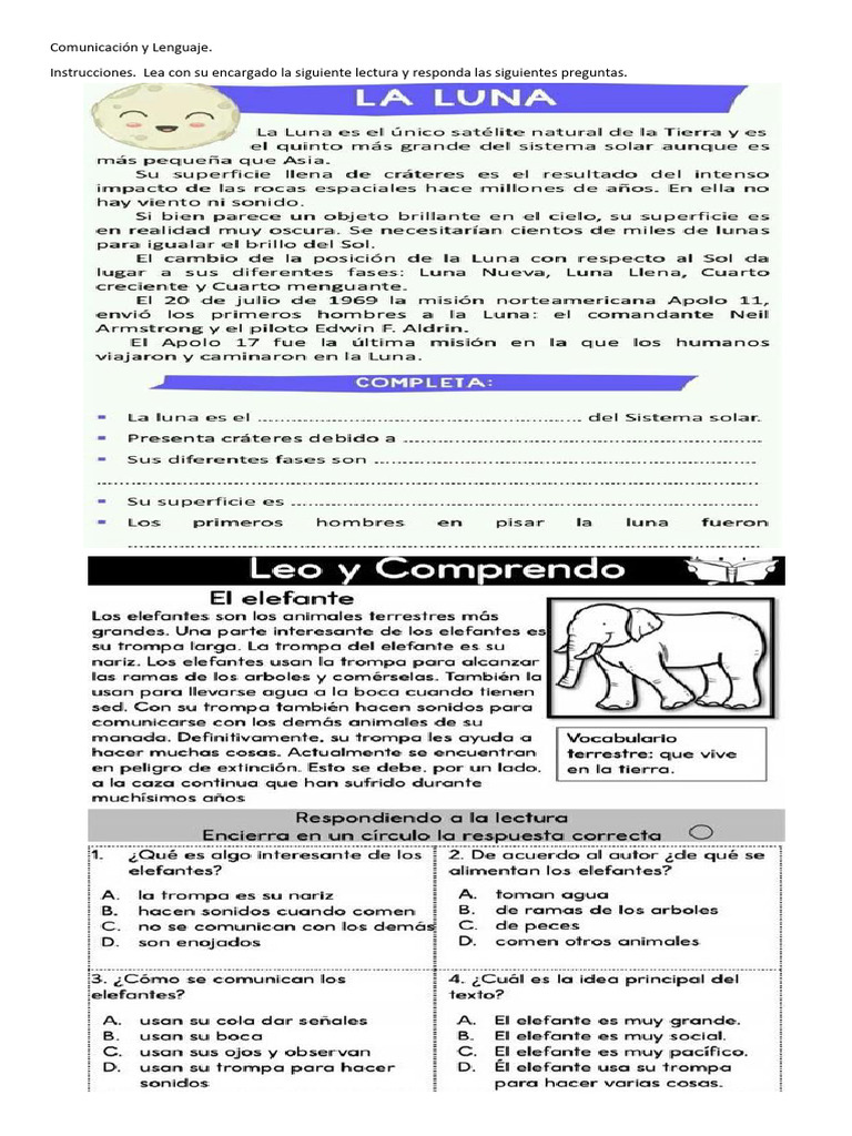 Lecturas y Comprension | PDF