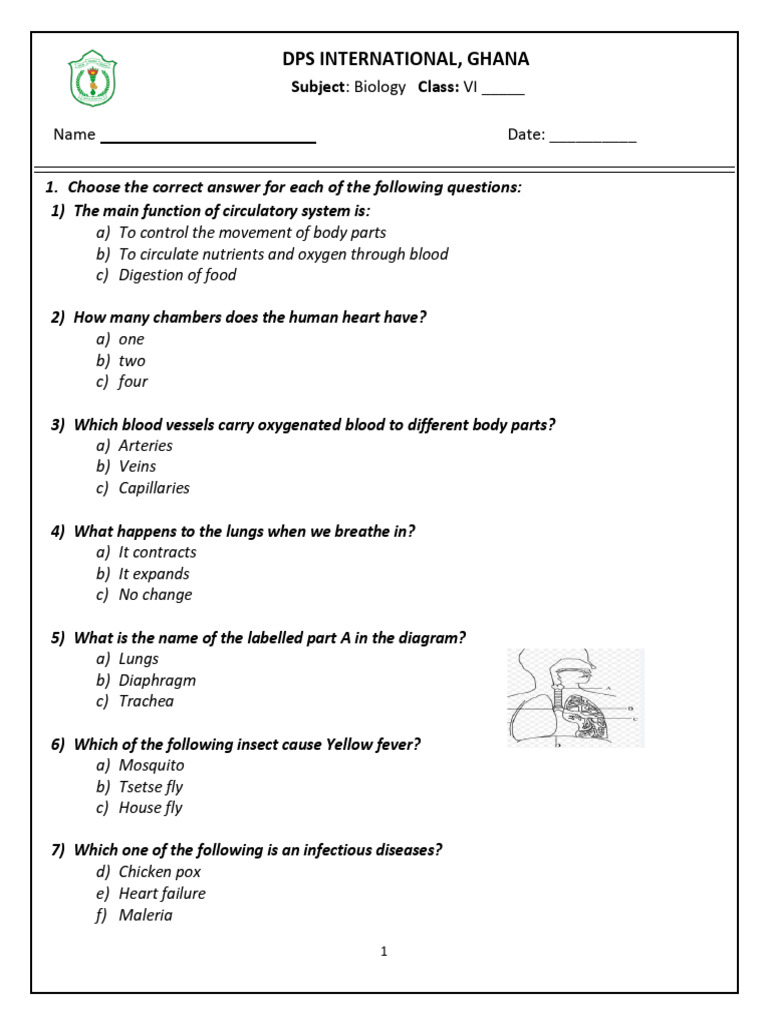 Grade 6 Bio Revision Worksheet | PDF | Heart | Blood