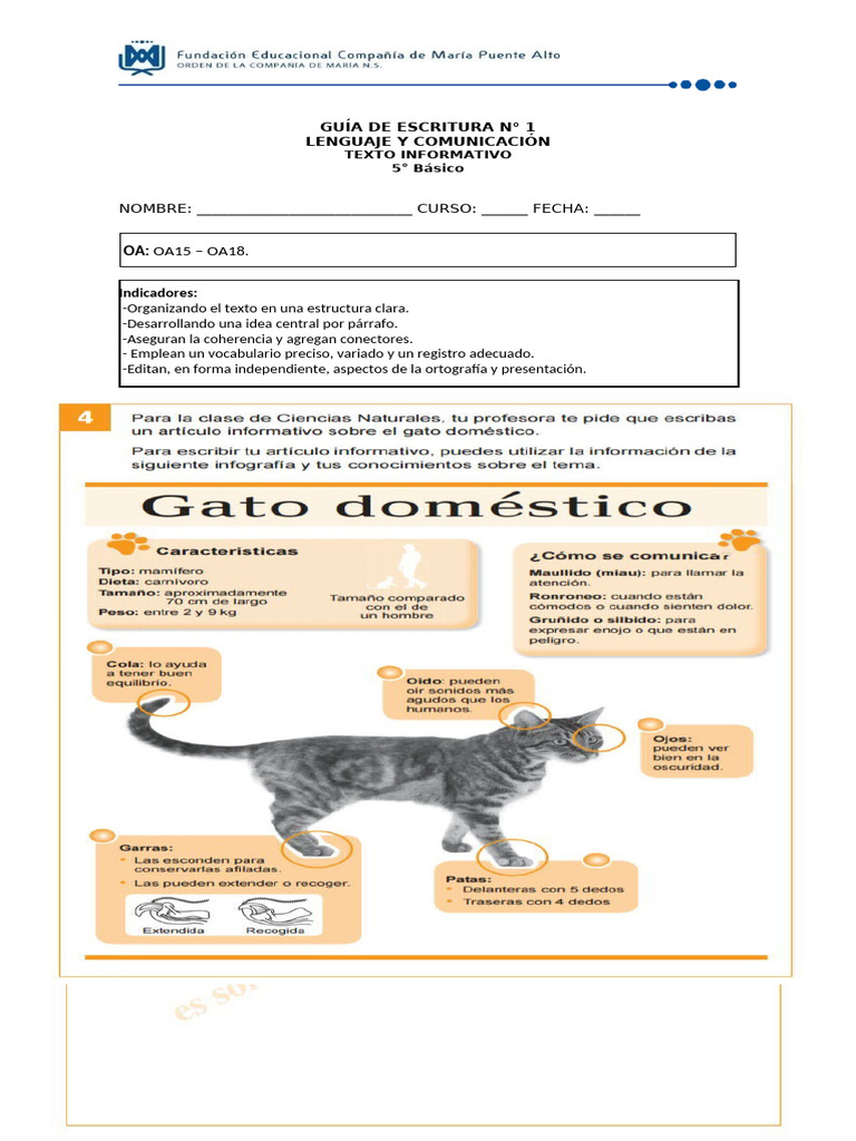 Guía de Escritura para 5° Básico | PDF