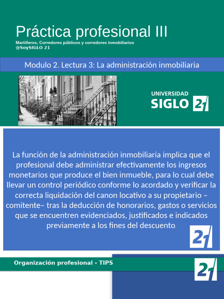 Practica Profesional III Mod.2 | PDF | Mercado (economía) | Economias